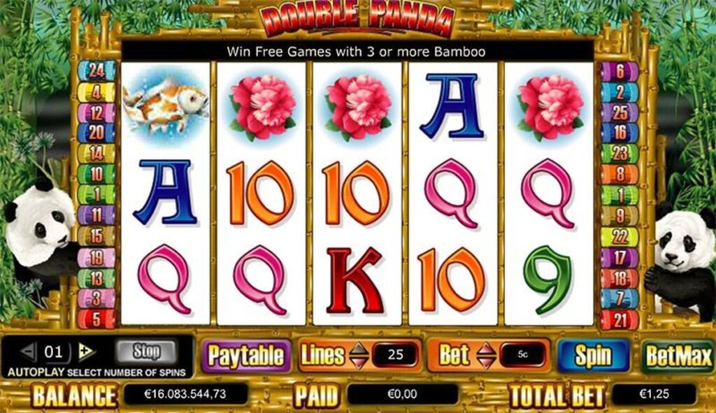 Double Panda slot review